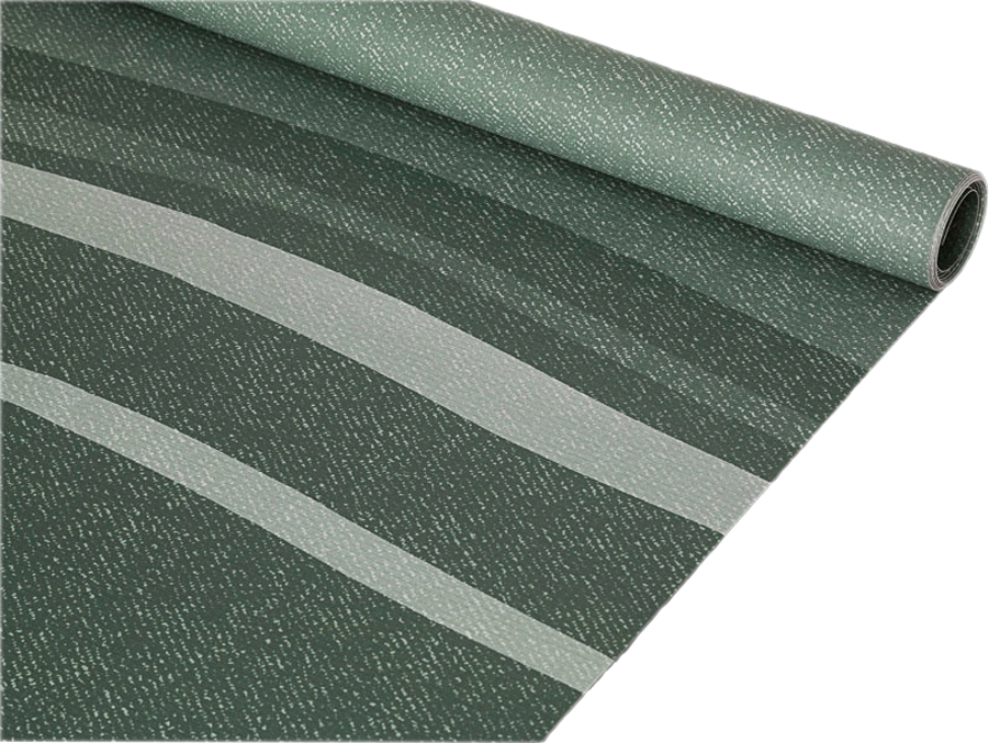 Fiamma toile de rechange pour store F45Ti / F45Ti L / F45iL 450 ...