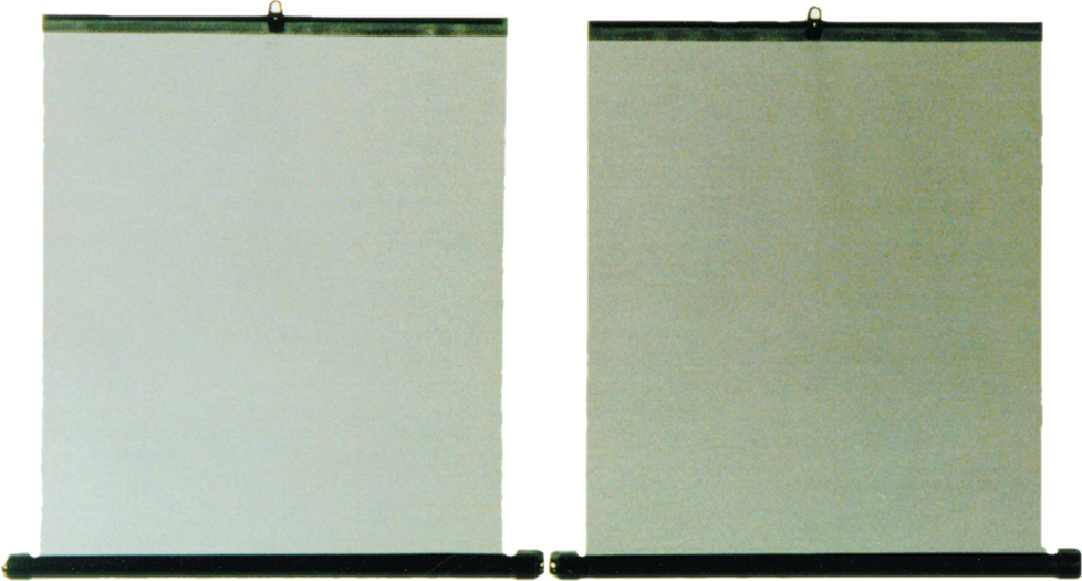 HP Autozubehör Seitenfenster Rollo universell 2 Stück 45 x 55 cm ...